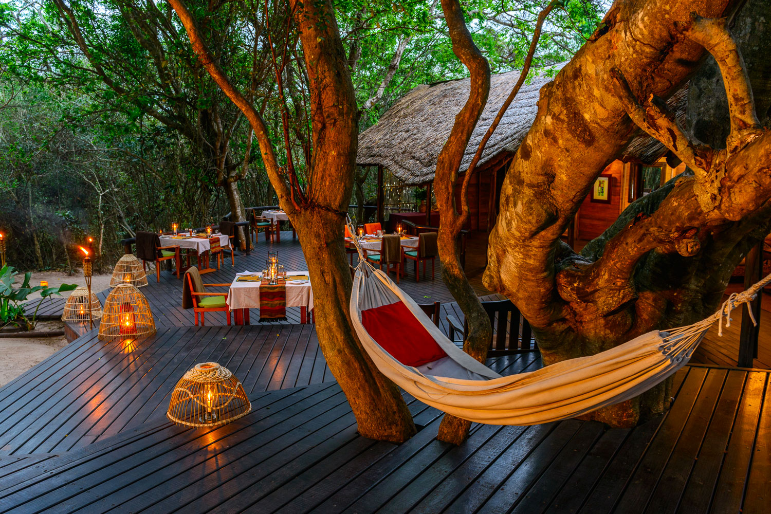 Thonga Beach Lodge - Luxury, Secluded KZN Beach LodgeThonga Beach Lodge