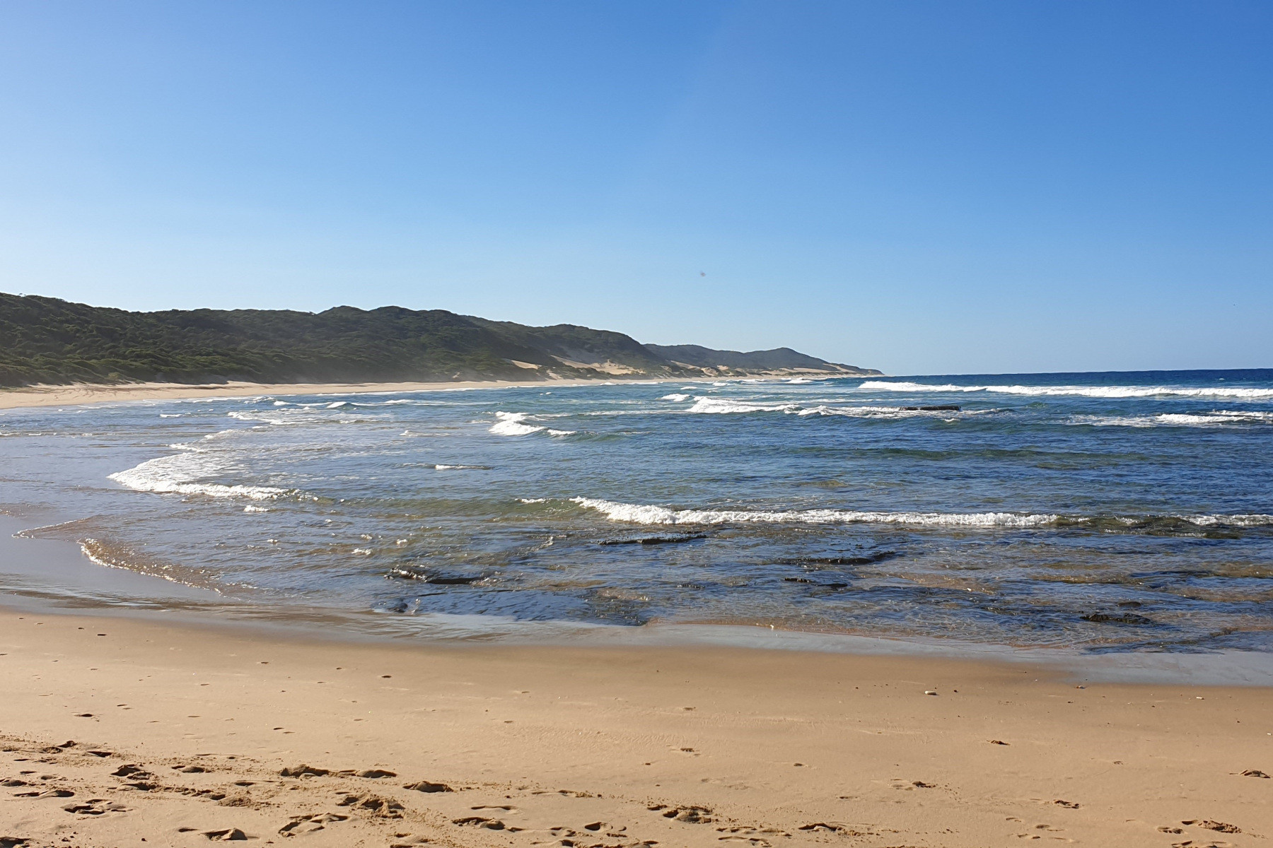 The journey to Green Steps Travel - Thonga Beach Lodge