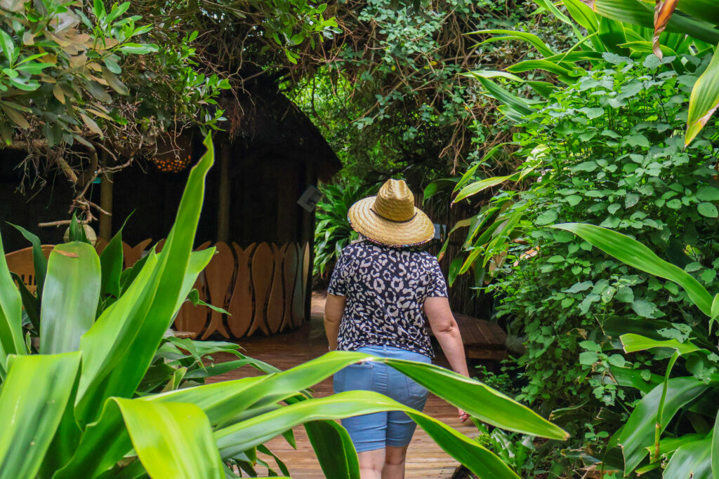 The Art of Eco-Luxury: Designing a Beach Lodge That Disappears Into the ...